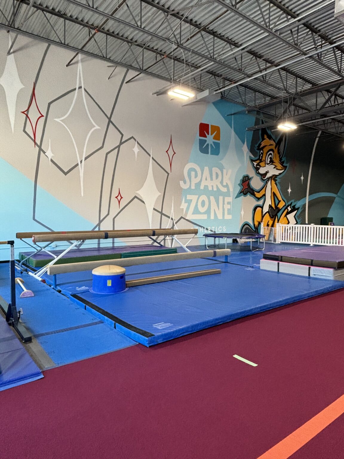 Birthday Party Fun at SparkZone Athletics - SparkZone Athletics